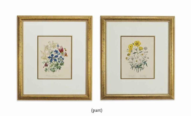 William Stewart Orr | the ladies flower garden of ornamental perennials ...