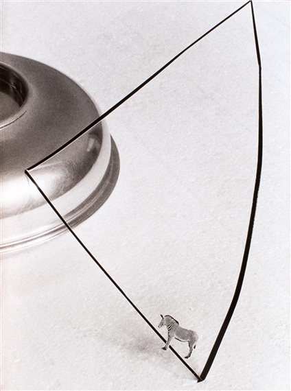 Stepan Grygar | Biography