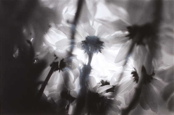 Peter Zupnik | Performance at Auction | MutualArt