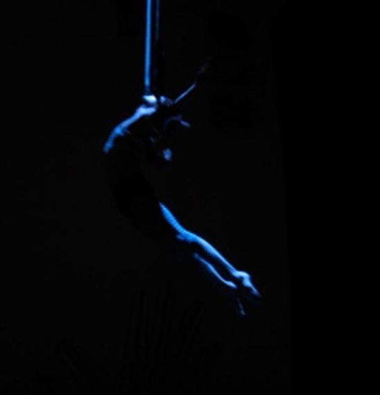 Victoria Goldman | 1 Artworks | MutualArt