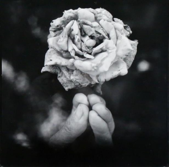 Paul Ferman | Gift | MutualArt