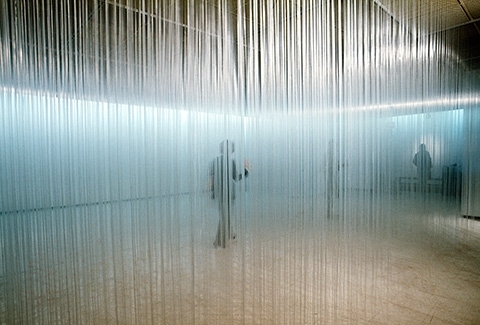 Jesús Rafael Soto: Pénétrable... | Exhibitions | MutualArt
