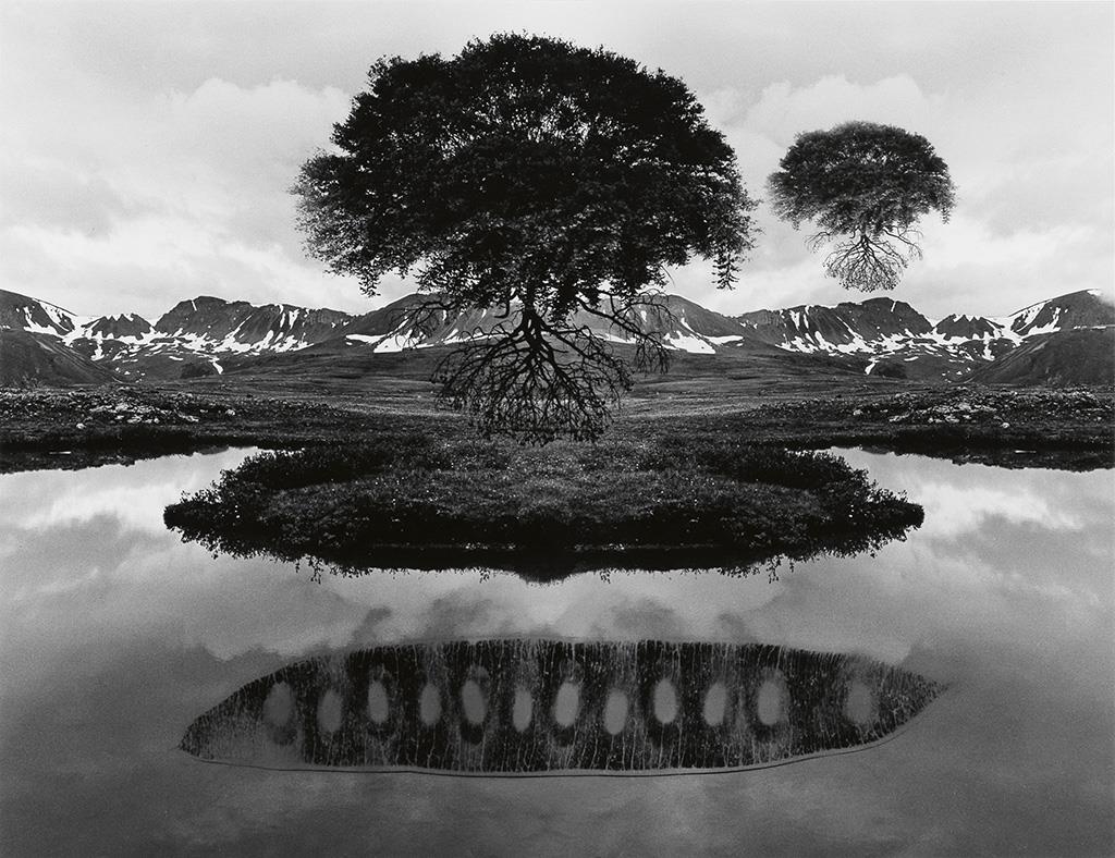 Jerry Uelsmann | Floating Tree (1969) | MutualArt