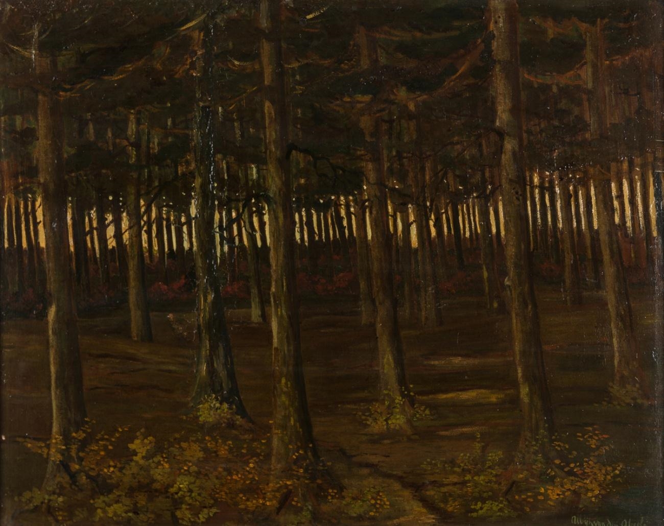 Albijn van den‏ Abeele | Trees | MutualArt