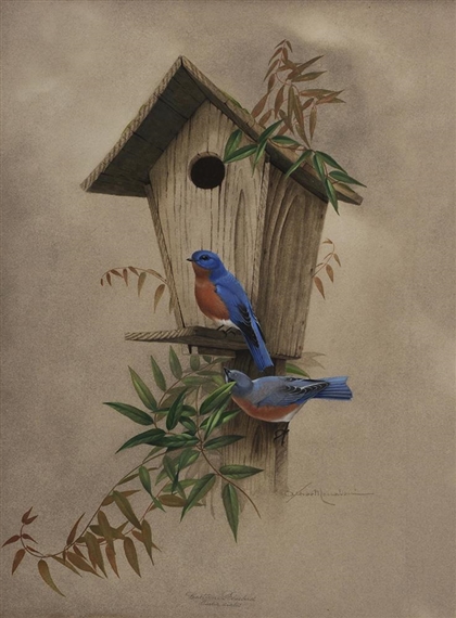 Athos Menaboni | Eastern Bluebird | MutualArt