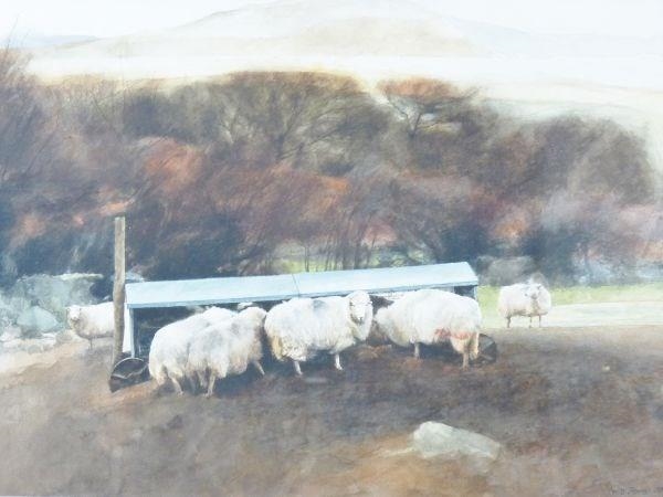 Keith Bowen | sheep at a feeding trough in the Welsh Uplands (1980 ...