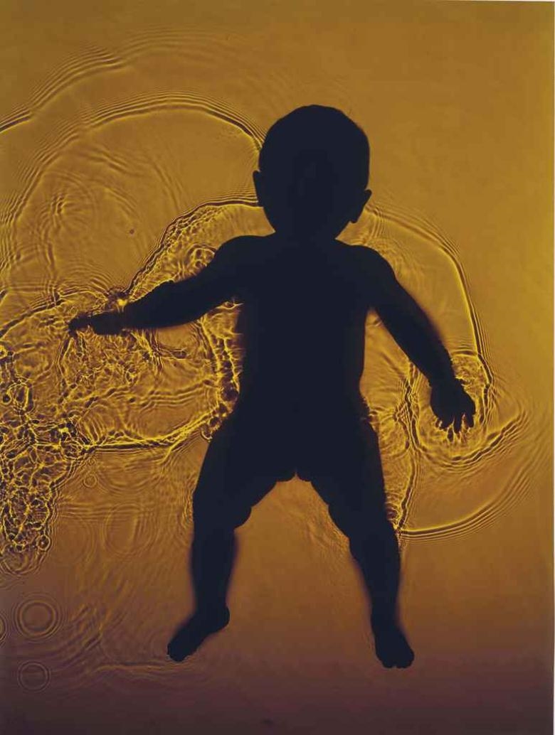 Adam Fuss | ARK (2005) | MutualArt