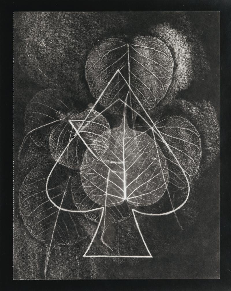 Max Ernst | Max Ernst En Collaboration Avec Man Ray (1936) | MutualArt