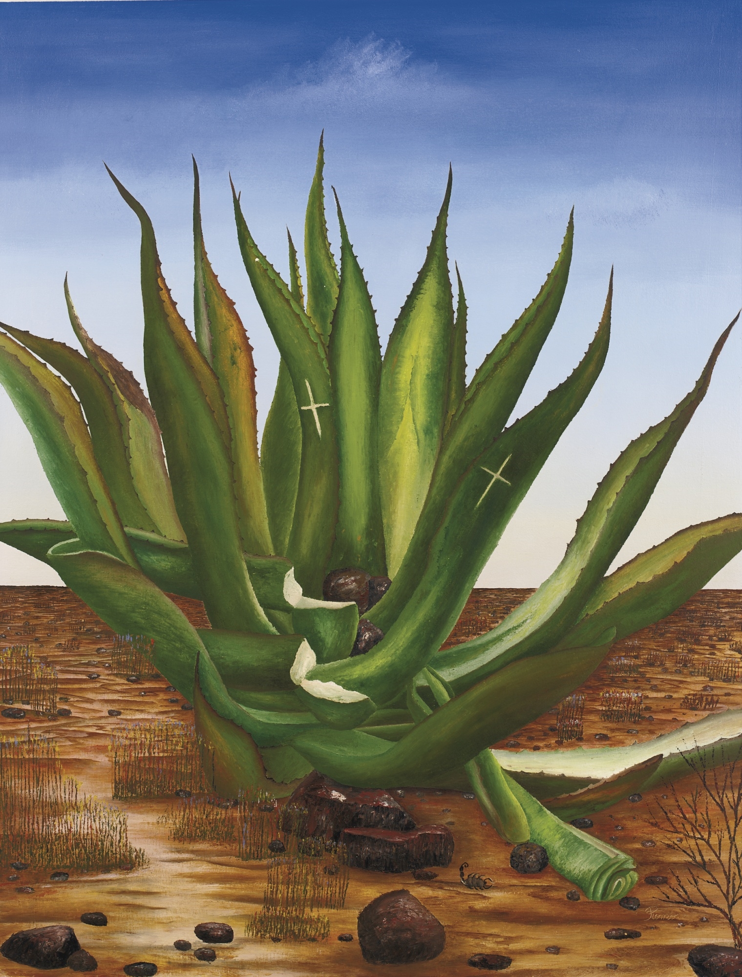 Jose Luis Romo | AFLORATION (1992) | MutualArt