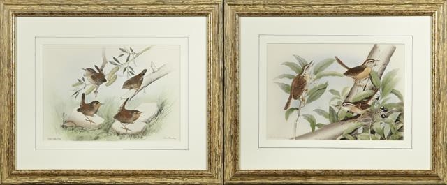 Rex Brasher | Wrens | MutualArt