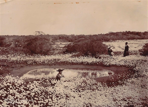 W H Kretchmar | 1 Artworks | MutualArt