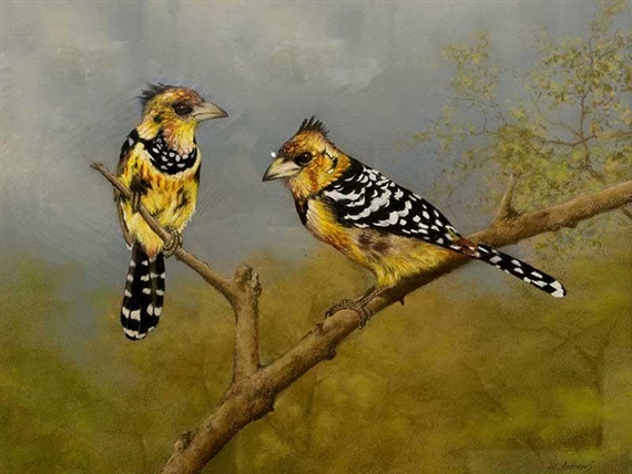 Vic Andrews | 2 works; Barbet; African Hoephoep | MutualArt