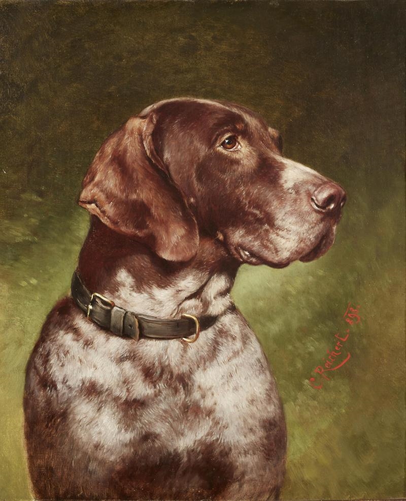 Carl Reichert | Head of a German Shorthaired Pointer | MutualArt