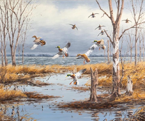 David Maass | Mallards Landing (Circa 1960) | MutualArt