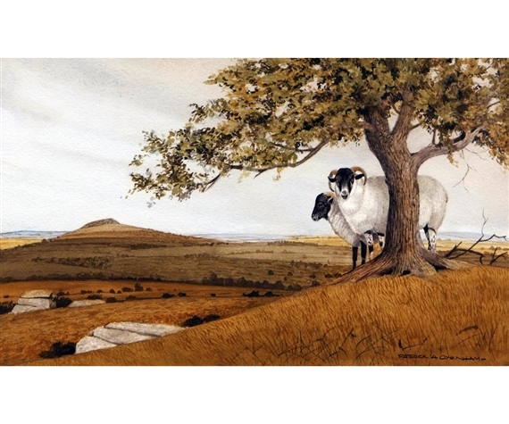 Patrick Oxenham | Dartmoor, Kestor | MutualArt