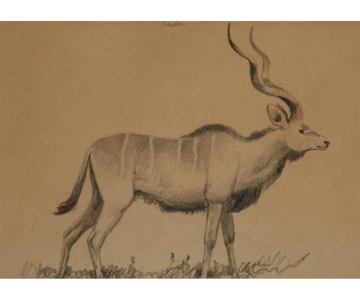 John Cyril Harrison | Kudu | MutualArt