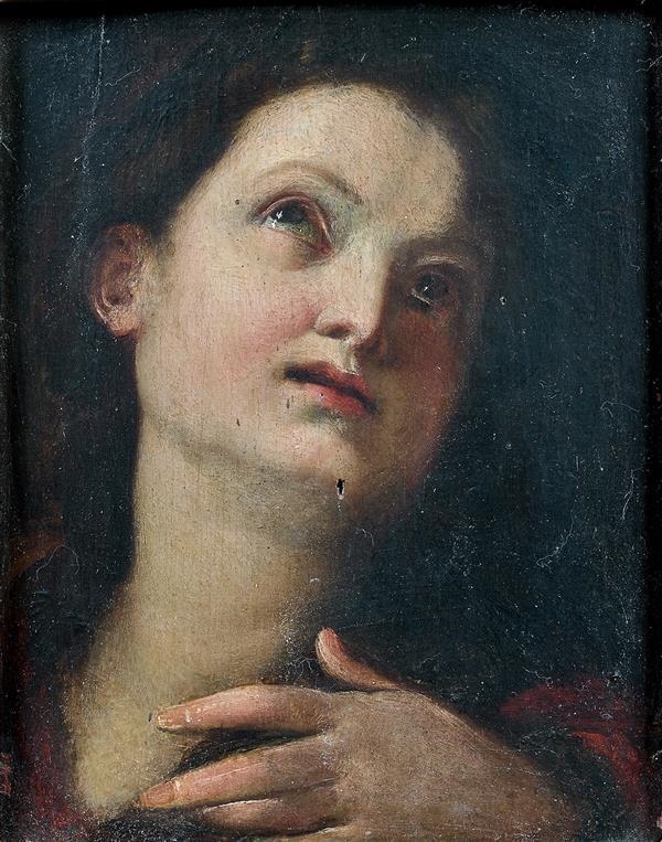 Giulio Cesare Procaccini | Head of a Young Woman soft wood panel ...