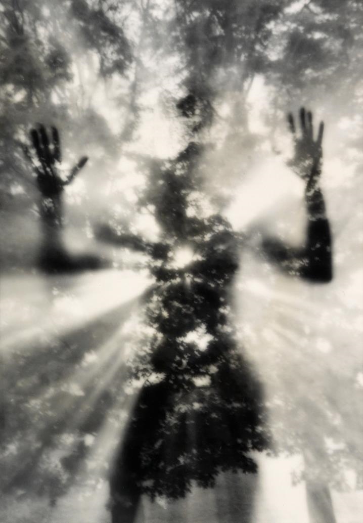 Ruth Bernhard | Aura | MutualArt