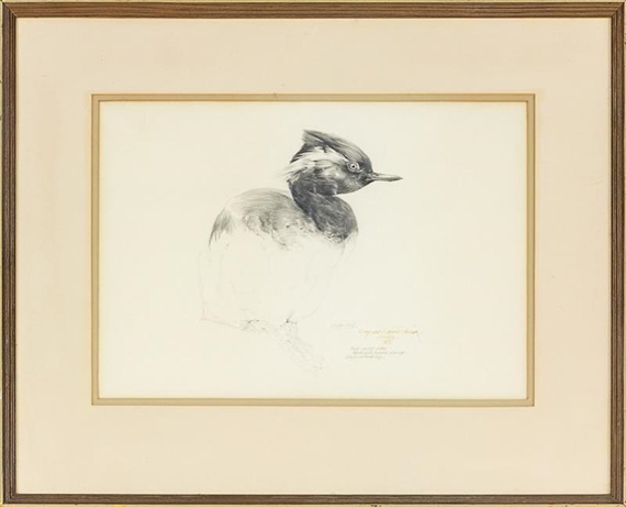 Raymond Harris Ching | Black-Necked Grebe (1968) | MutualArt