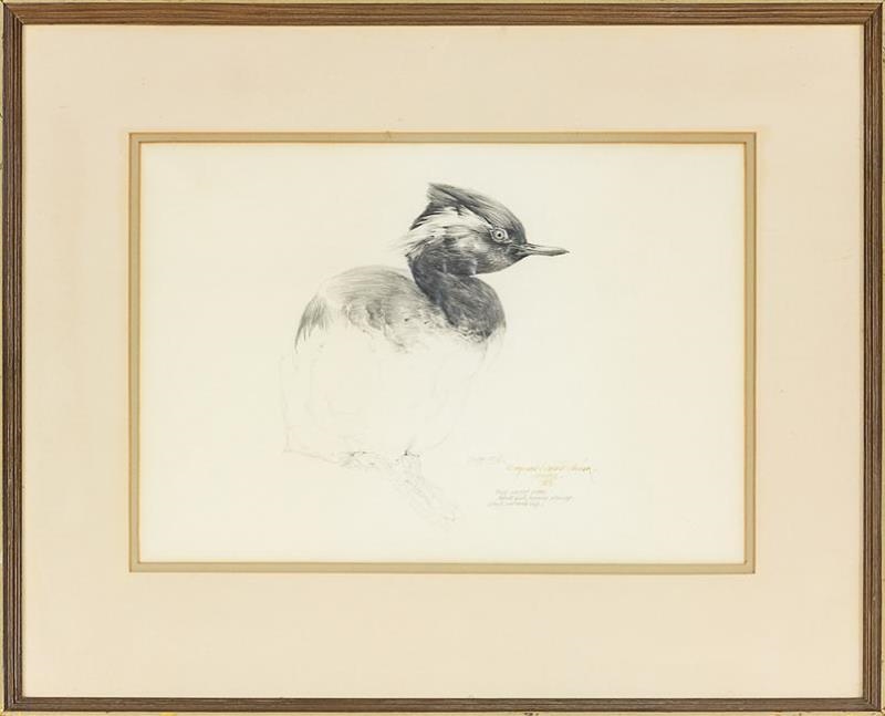 Raymond Harris Ching | Pied Wagtail (1968) | MutualArt