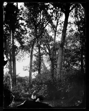 Owen Riley | Artist Overview | MutualArt