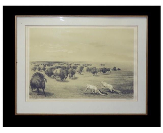 George Catlin | Buffalo Hunt, Under (Mid 1800s) | MutualArt