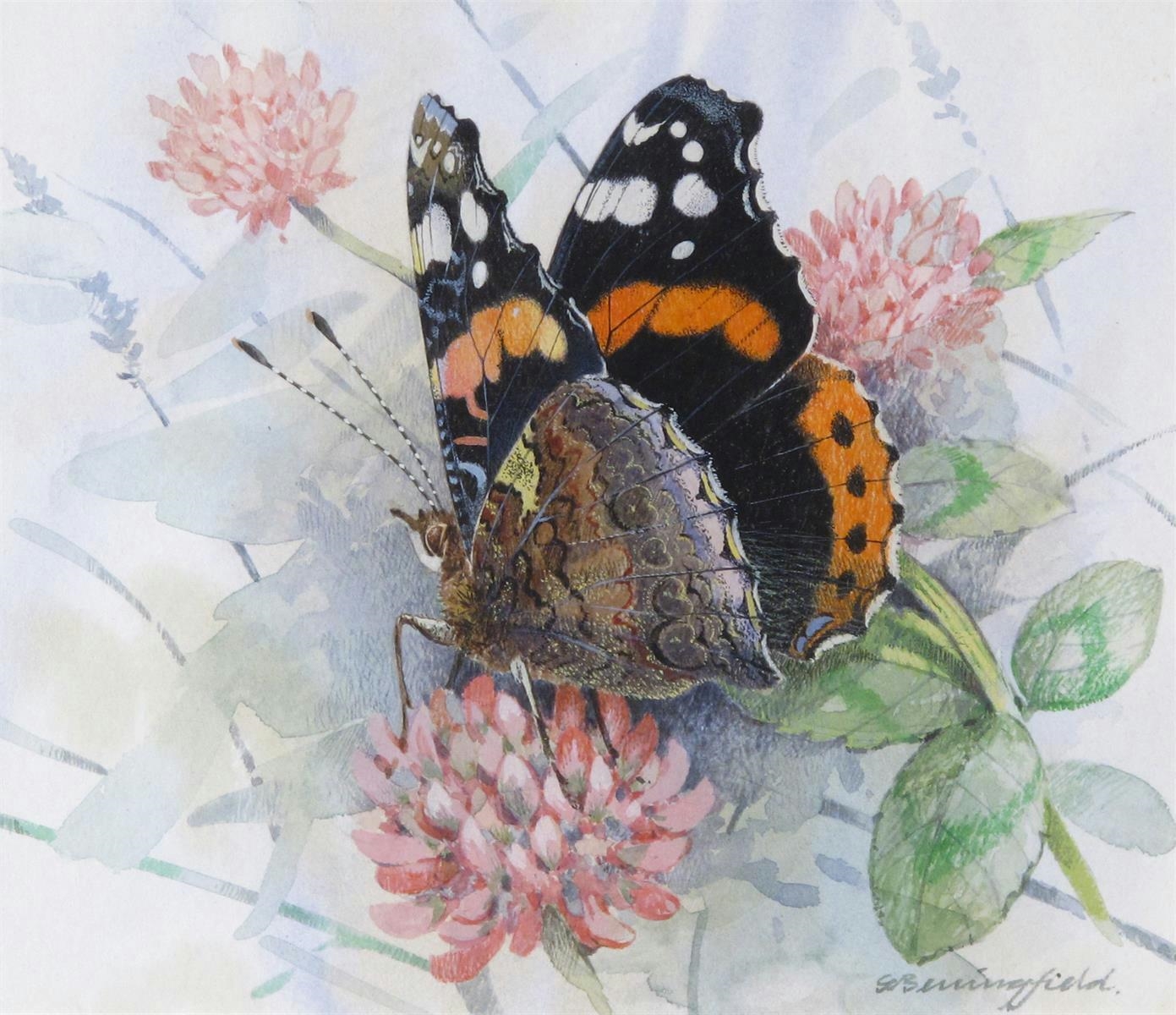 Gordon Beningfield | Butterflies: Large Blue; Small Tortoiseshell ...