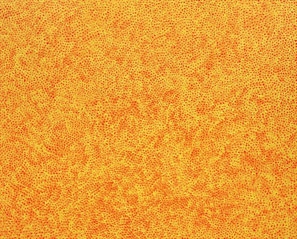 Yayoi Kusama | Infinity Nets (2005) | MutualArt