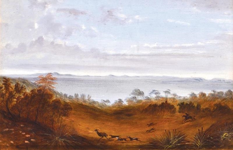 Edward Roper | Emu Hunt | MutualArt