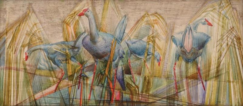 Vaughan Murray Griffin | Pukeko | MutualArt
