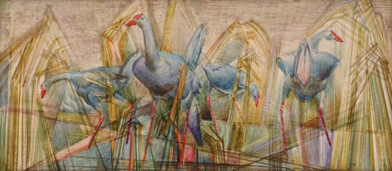 Vaughan Murray Griffin | Pukeko | MutualArt