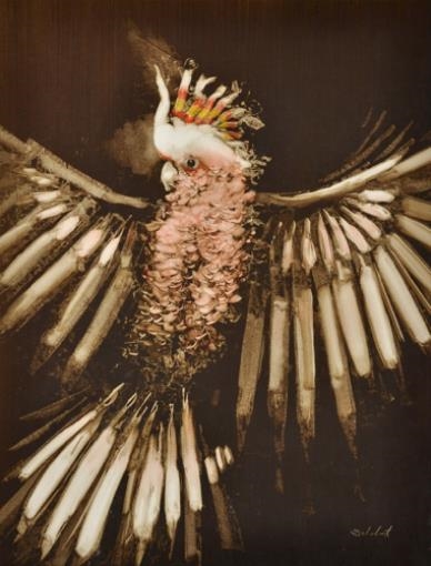 Rod Schubert | Major Mitchell | MutualArt