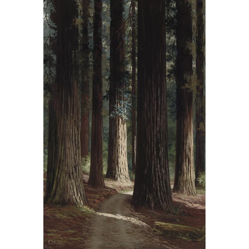 Charles Theller Wilson | Forest Interior (1911) | MutualArt
