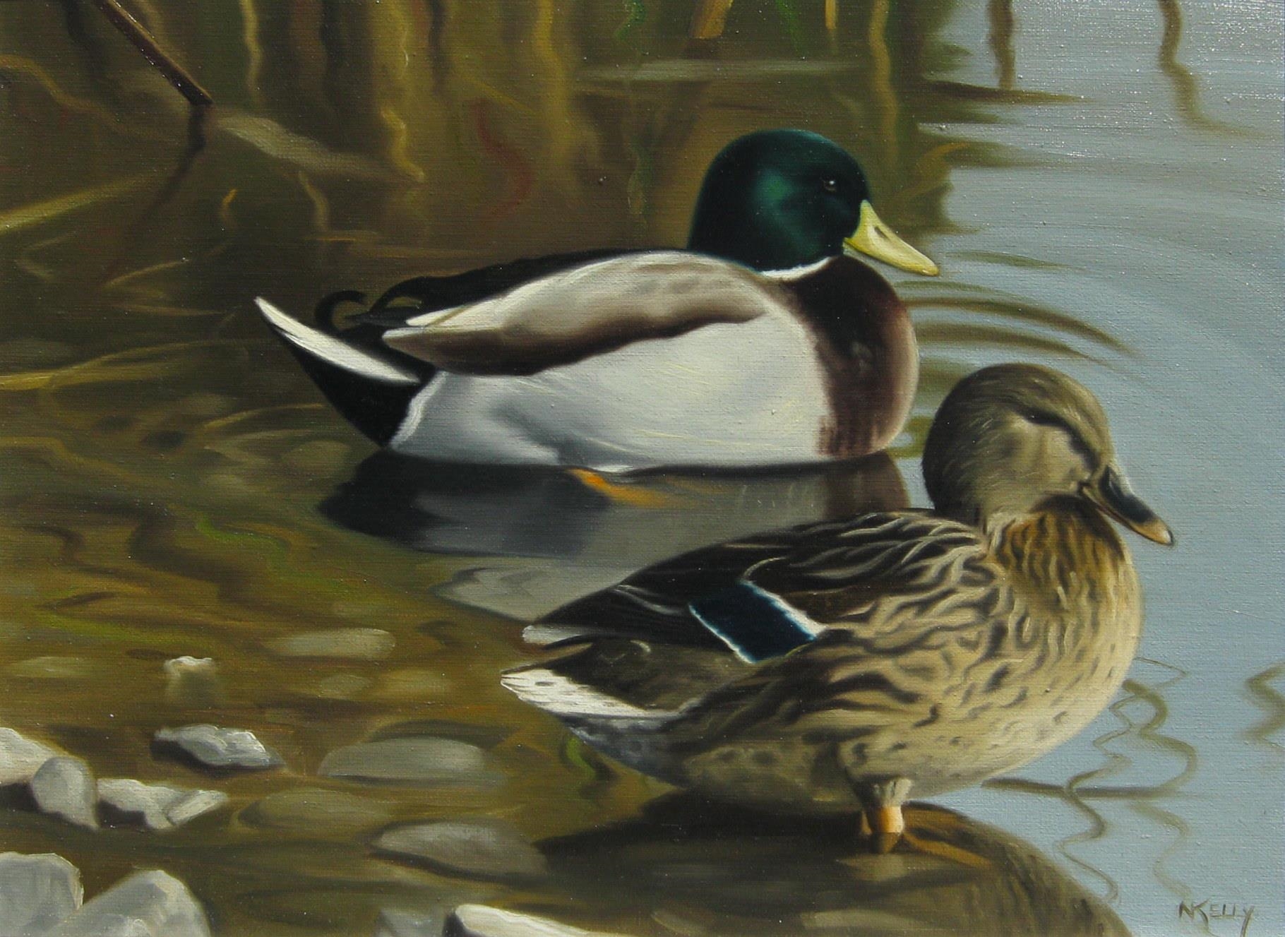 Norman Kelly | Duck and Drake | MutualArt