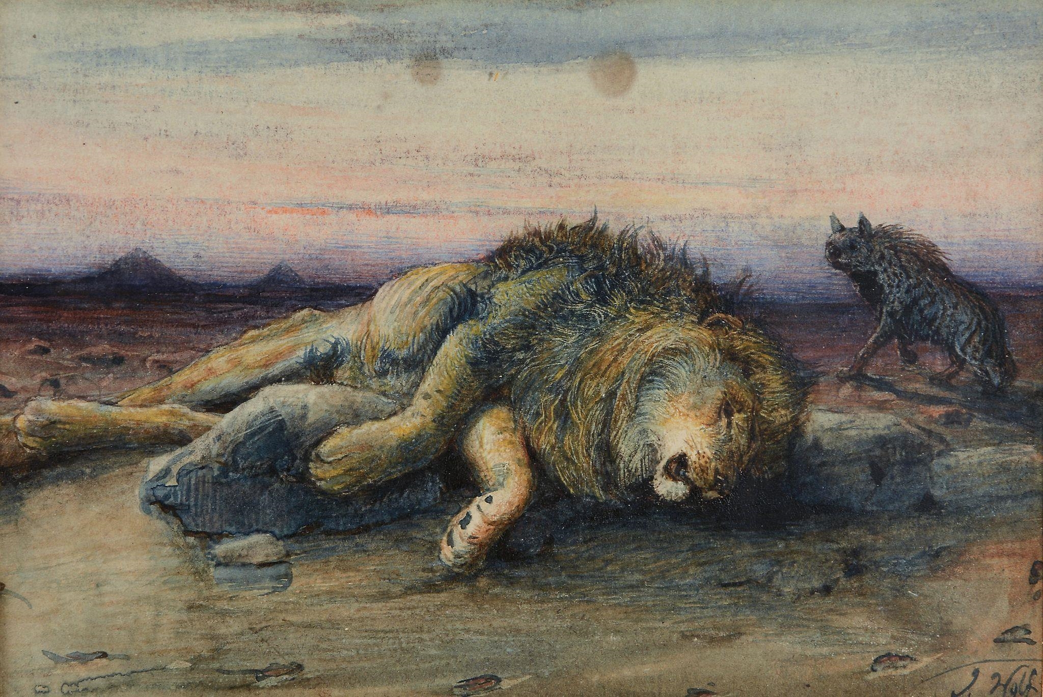 Josef Wolf | Lion study | MutualArt