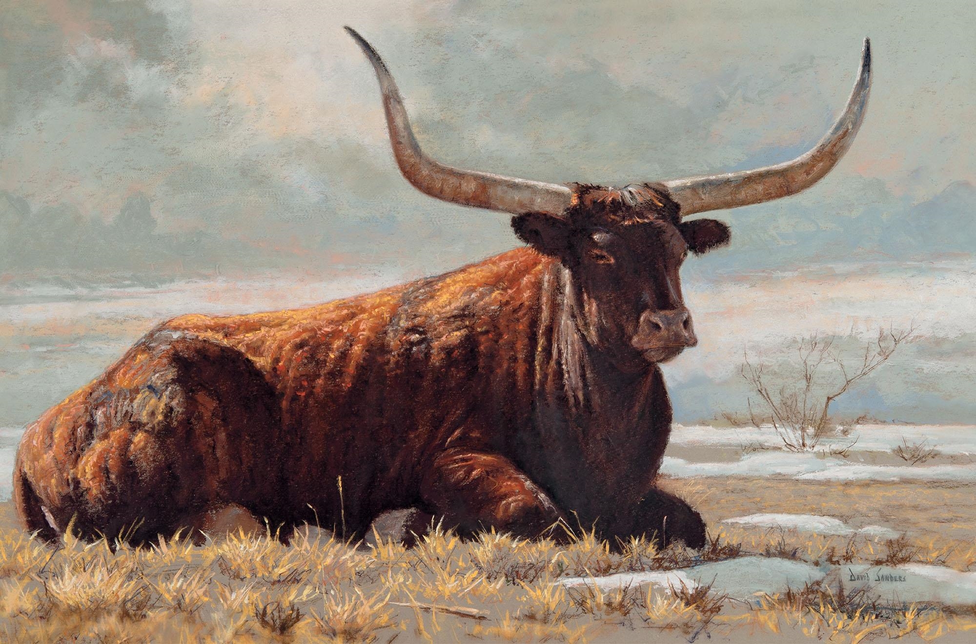David Sanders | Longhorn | MutualArt