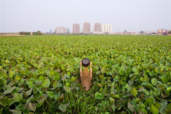 Khvay Samnang | Artist Overview | MutualArt