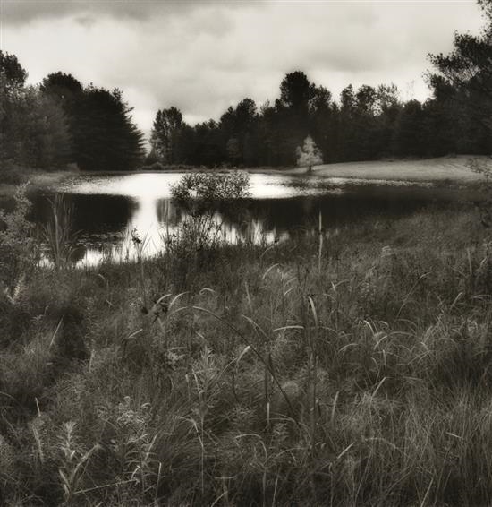 Sally Gall | Pond (1980) | MutualArt
