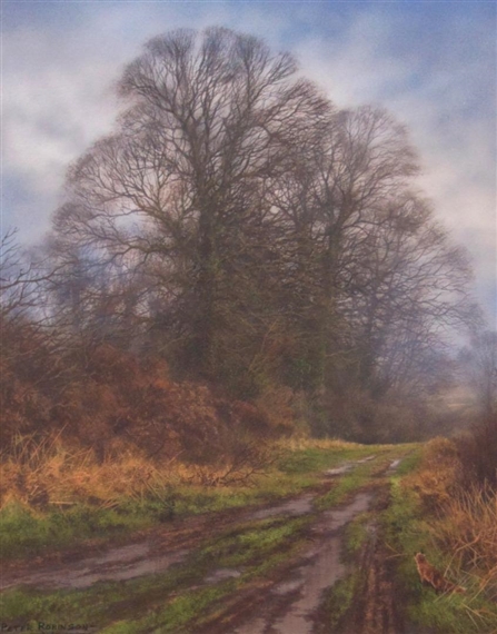 Peter Robinson | Country lane | MutualArt