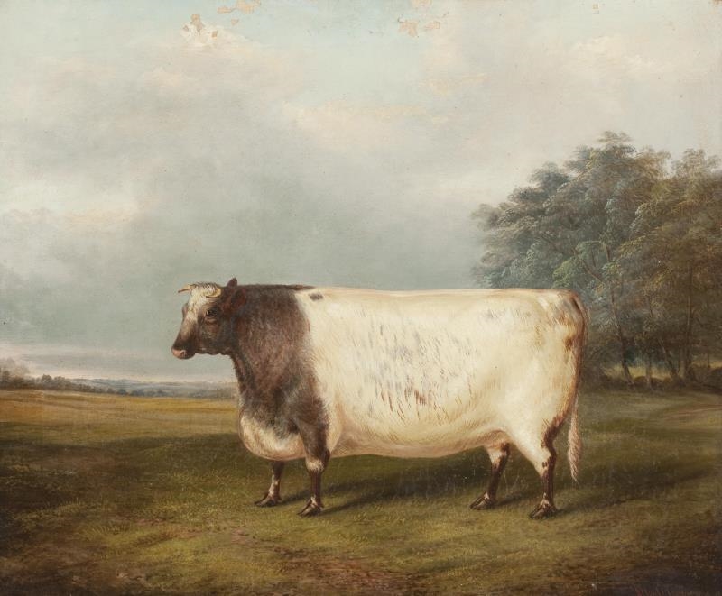 Albert Clark | Bull in a landscape | MutualArt