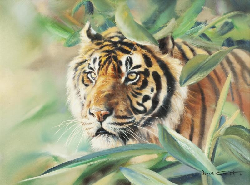 Donald Grant | Tiger | MutualArt
