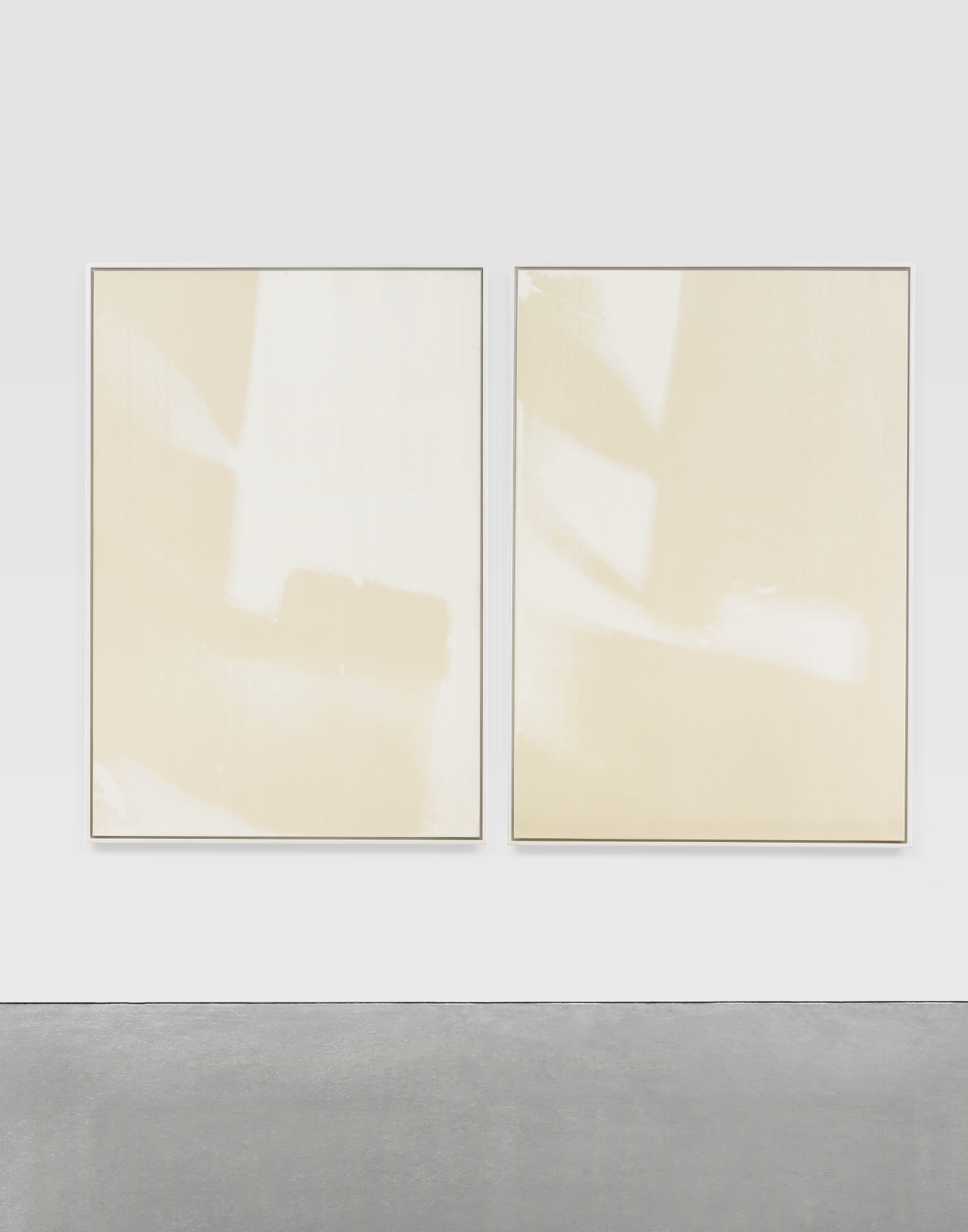 Andy Warhol | DIAMOND DUST SHADOWS (1979) | MutualArt