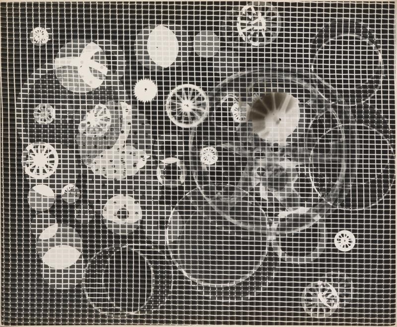 Arthur Siegel | Photogram (Circa 1950) | MutualArt