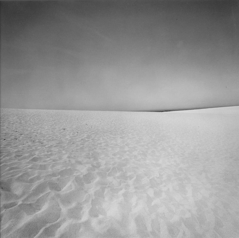 Harry Callahan | Cape Cod (1972) | MutualArt