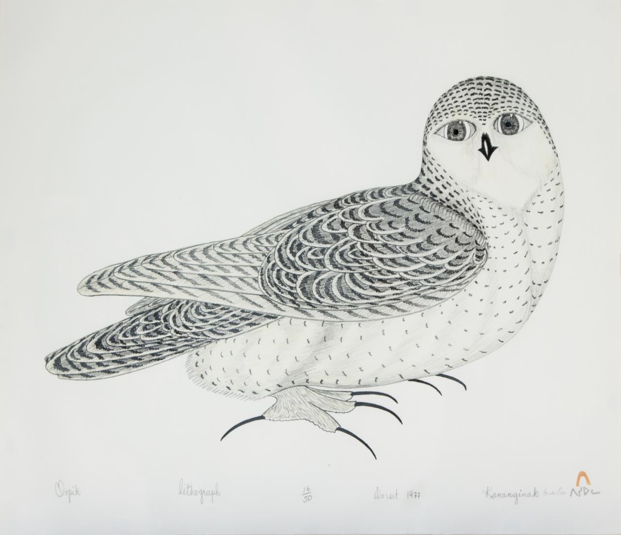 Kananginak Pootoogook | Oopik (1977) | MutualArt