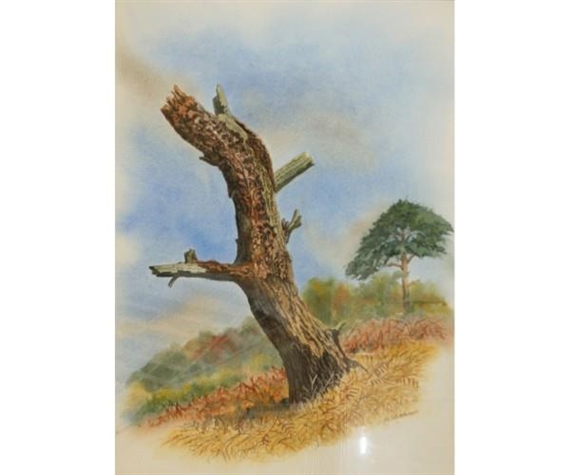 Robin C. Harrison | Heathland Scene with Tree Stump and Pine | MutualArt