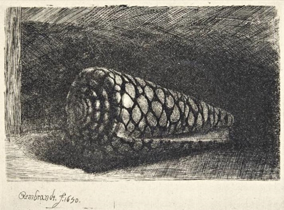 Rembrandt van Rijn | Shell | MutualArt