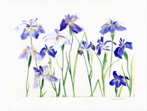 Scottish Printmakers | Exhibitions | MutualArt