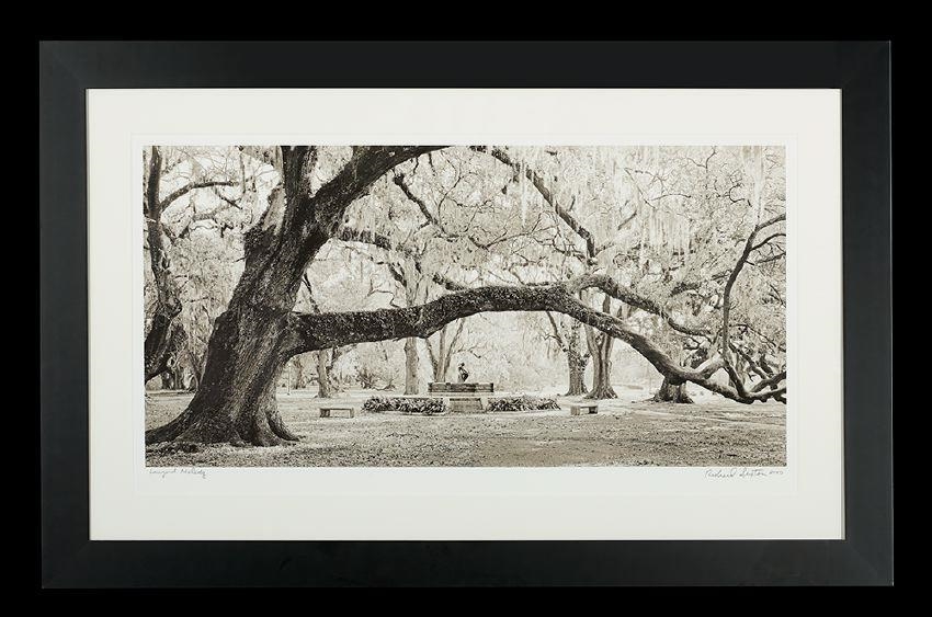 Richard Sexton | Languid Memory (2000) | MutualArt