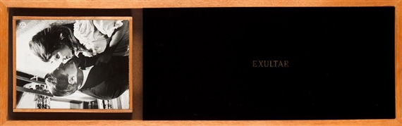 Pedro Cabrita Reis | Exultar | MutualArt